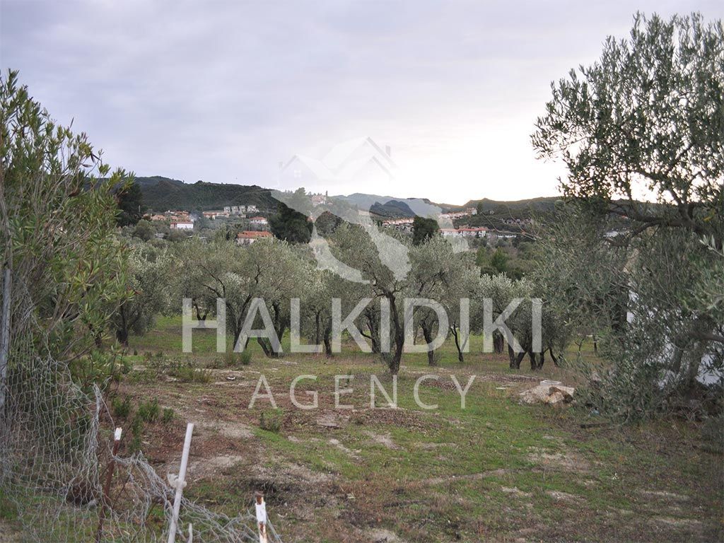 Οικόπεδο προς πώληση Παλιούρι (Παλλήνη) - ΑΜΦΙΘΕΑΤΡΙΚΟ