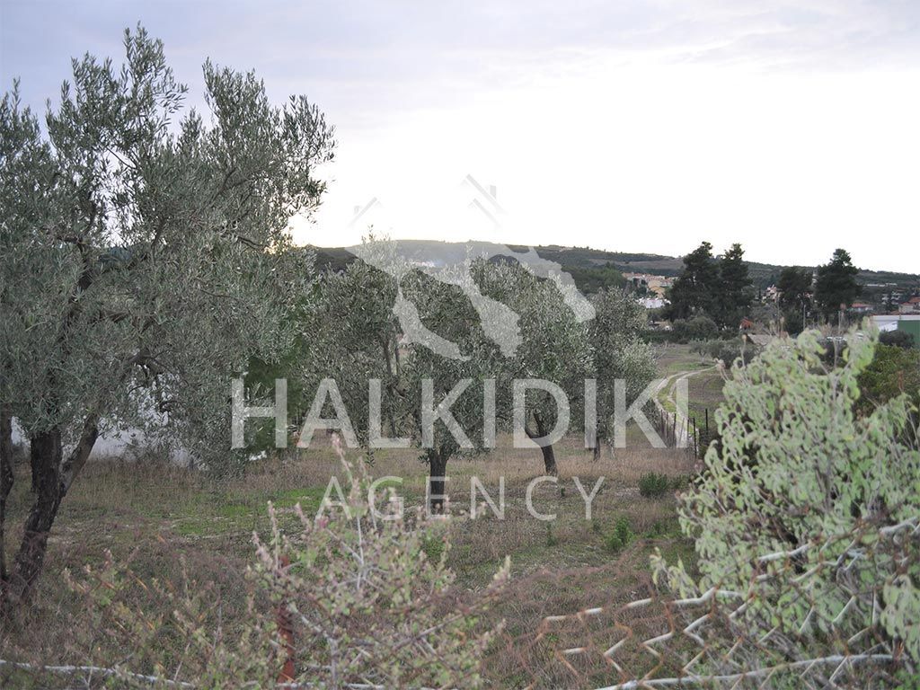 Οικόπεδο προς πώληση Φούρκα (Κασσάνδρα) - ΑΜΦΙΘΕΑΤΡΙΚΟ
