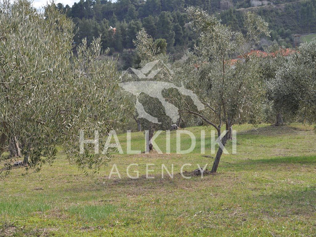 Οικόπεδο προς πώληση Φούρκα (Κασσάνδρα) - ΑΜΦΙΘΕΑΤΡΙΚΟ