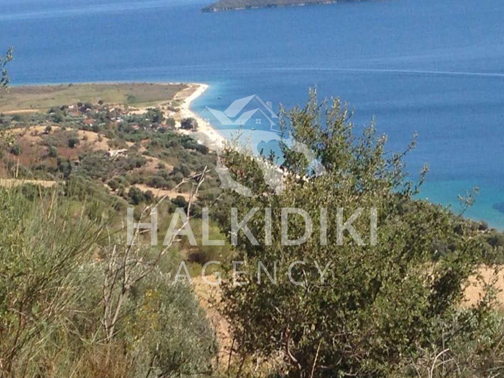 ΚΟΝΤΑ ΣΤΗ ΘΆΛΑΣΣΑ