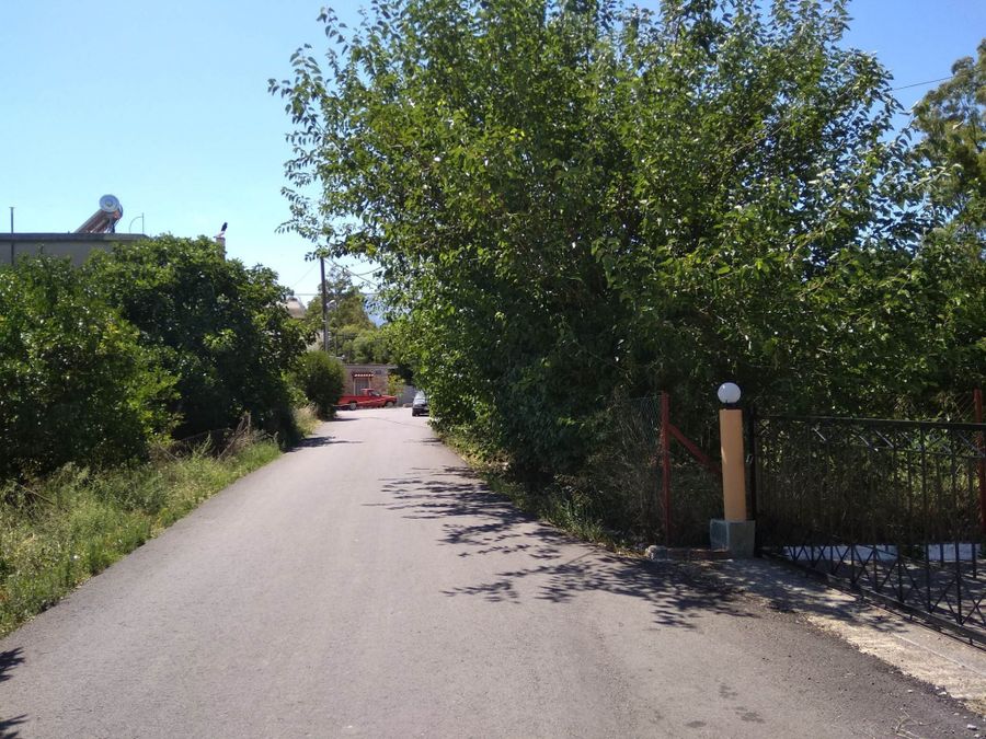 ΛΙΓΑ ΜΕΤΡΑ ΑΠΟ ΤΟΝ ΔΡΟΜΟ ΠΡΟΣ ΜΥΣΤΡΑ