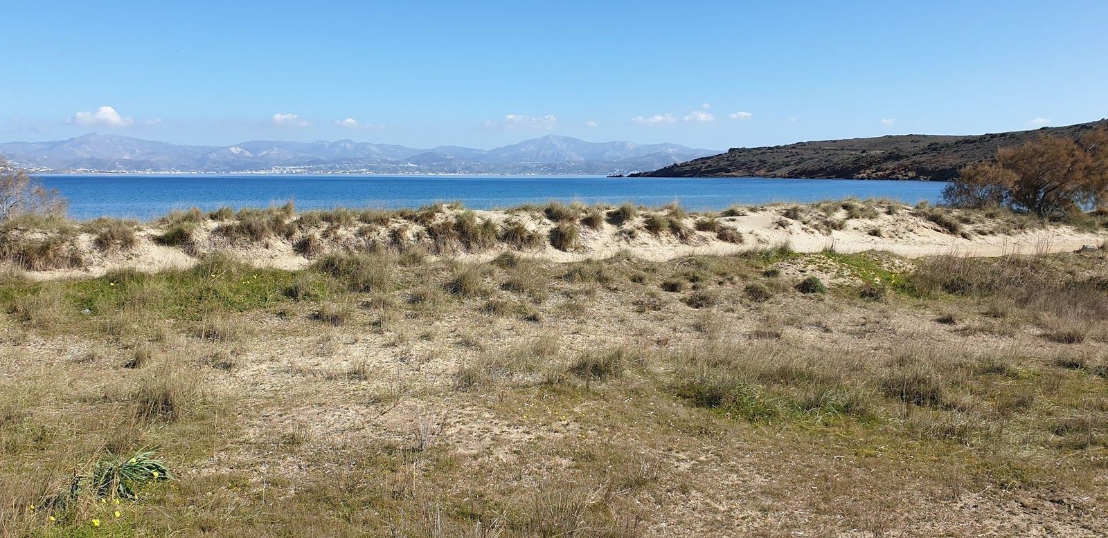 Αγροτεμάχιο προς πώληση Μώλος (Πάρος) - Ακινητα μπροστα στην θαλασσα ...