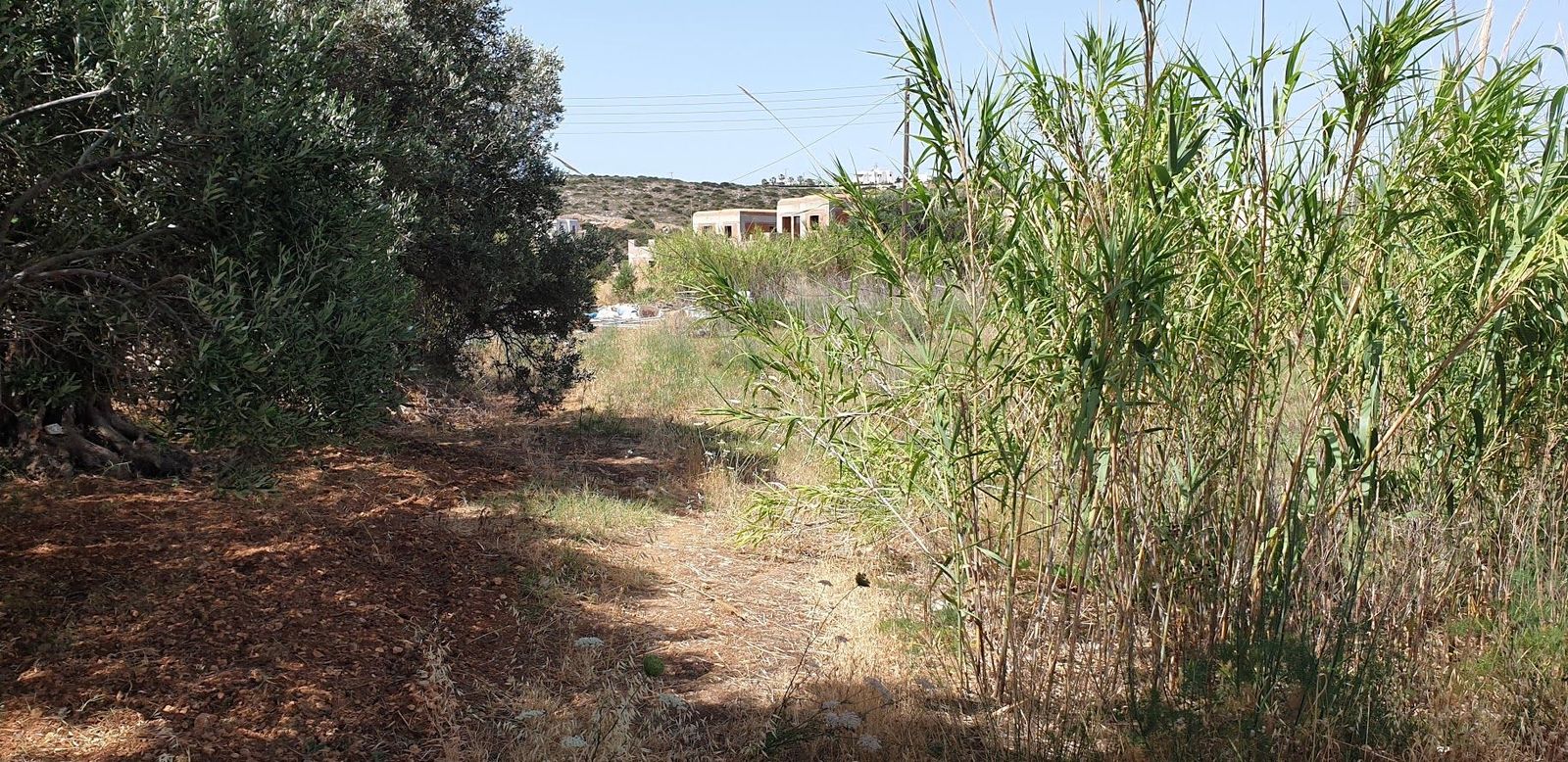 Οικόπεδο προς πώληση Αλυκή (Πάρος) - Αλυκη | Οικοπεδο 4 στρ εντος οικισμου