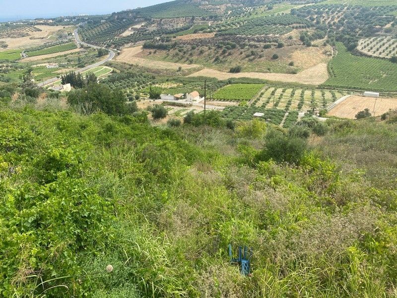 Πώληση, Αγροτεμάχιο, 6500τ.μ. Ηράκλειο Κρήτης, Βούτες | 9906001 ...