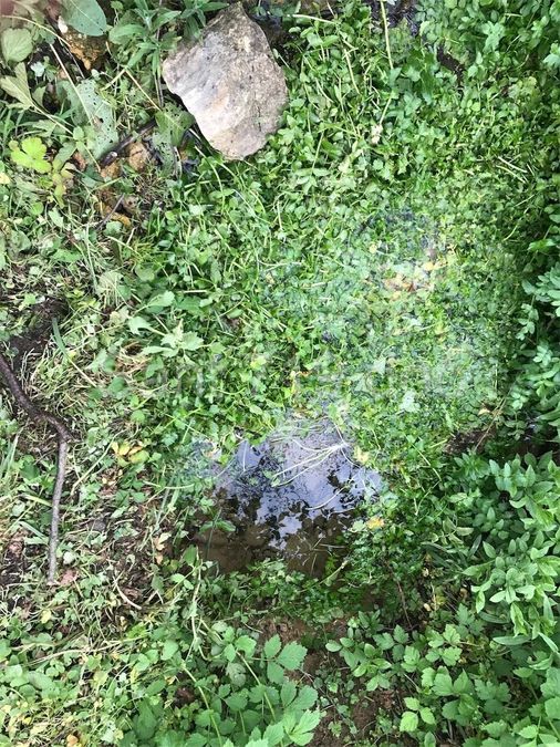 Detached House for sale, 312sqm, 898,698KM - Pazaric | Indomio.ba