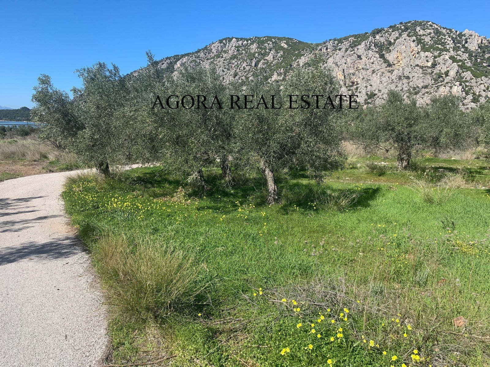 ΠΩΛΕΙΤΑΙ ΟΙΚΟΠΕΔΟ 4.000τμ ΣΤΗ ΛΙΜΝΗ ΒΟΥΛΙΑΓΜΕΝΗΣ