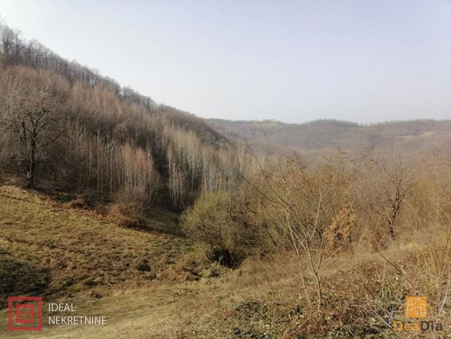 Prodaja Građevinsko zemljište, 19008m2, 12.000€ - Trudelj | Indomio.rs