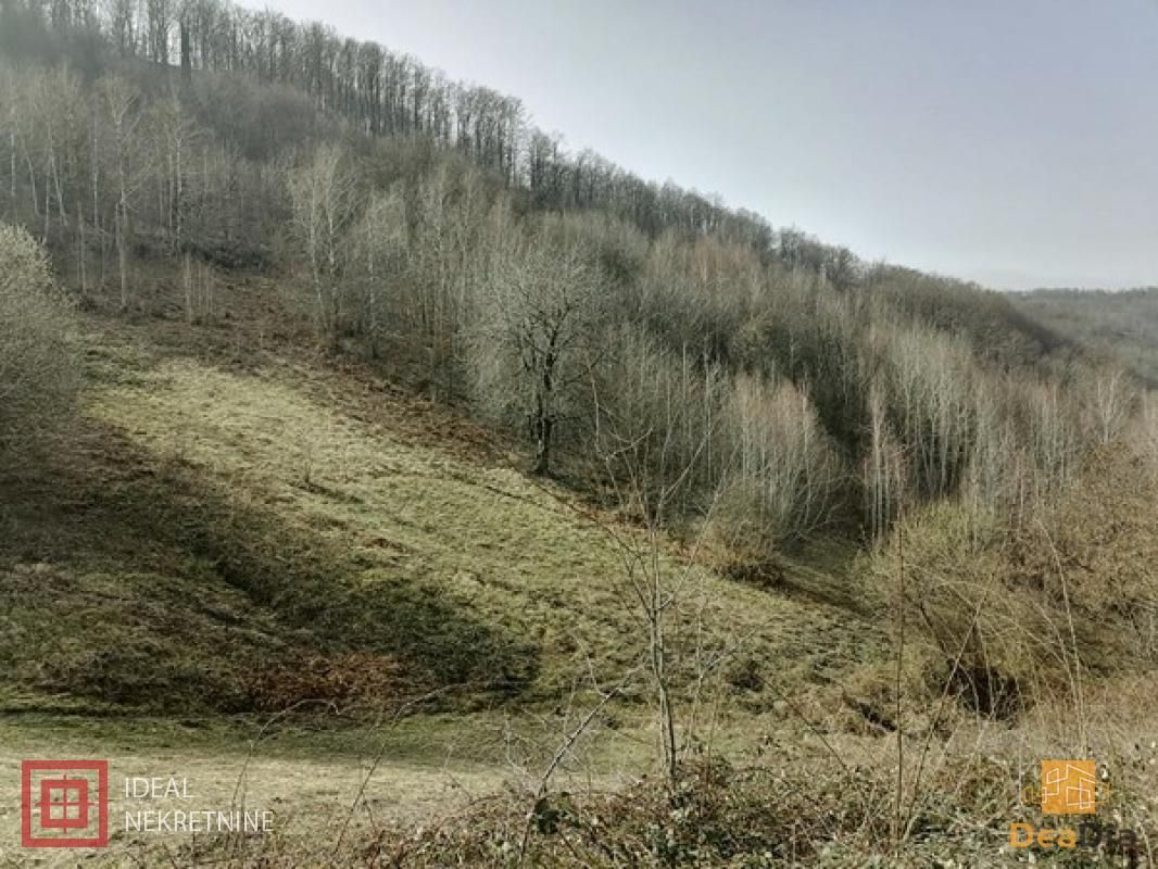 Land plot for sale, 19008sqm, 12,000€ - Trudelj | Indomio.rs