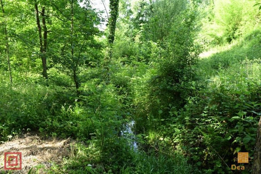 Prodaja Građevinsko zemljište, 13890m2, 39.999€ - Gornji Milanovac ...