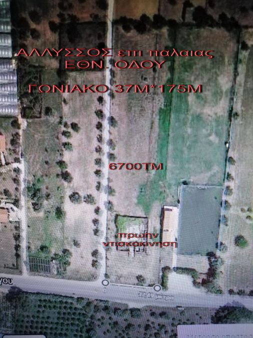 Ενοικίαση, Οικόπεδο, 6700τ.μ. Δυτικής Αχαΐας, Κάτω Αλισσός | 11193028 ...