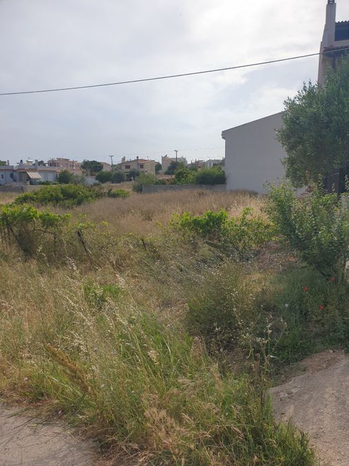 ΟΙΚΟΠΕΔΟ 516Τ.Μ. ΠΡΟΣ ΠΩΛΗΣΗ ΣΤΗΝ ΠΕΡΙΟΧΗ ΑΛΙΚΗ, ΑΡΤΕΜΙΔΑ
