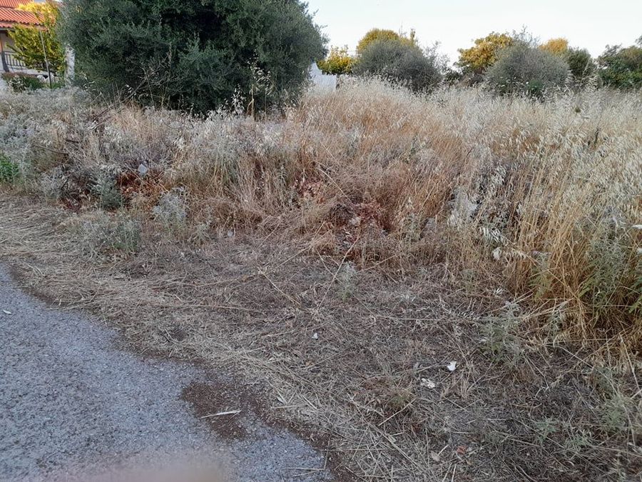 Οικοπεδο στην Καλλικρατεια