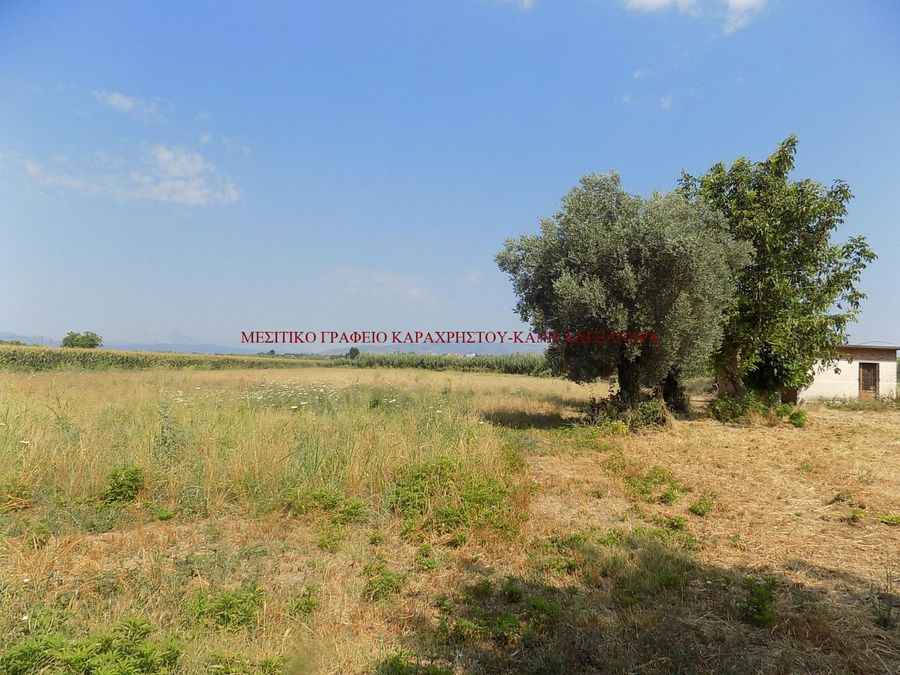Αγροτεμάχιο προς πώληση Μεγάλη Χώρα (Νεάπολη)