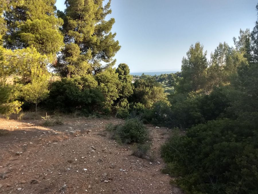 ΠΩΛΕΙΤΑΙ ΑΓΡΟΤΕΜΑΧΙΟ ΣΤΗΝ ΝΙΚΗΤΗ ΑΡΤΙΟ ΟΙΚΟΔΟΜΗΣΙΜΟ