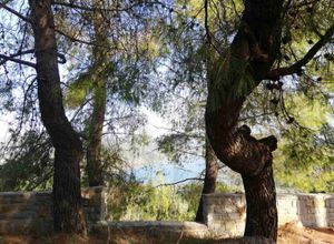 Πώληση, Μονοκατοικία, 125τ.μ. Νεάπολη, Σπολάιτα | 11609872 | Spitogatos