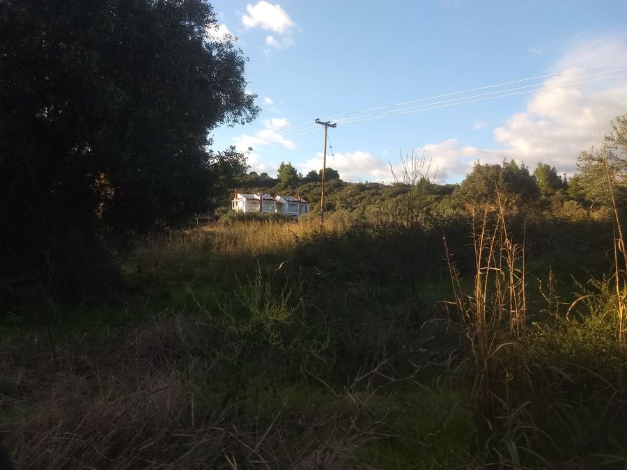 Αγροτεμάχιο προς πώληση Σαλονικιού (Σιθωνία) - ΠΡΟΣ ΠΩΛΗΣΗ: ΑΓΡΟΤΕΜΑΧΙΟ ...