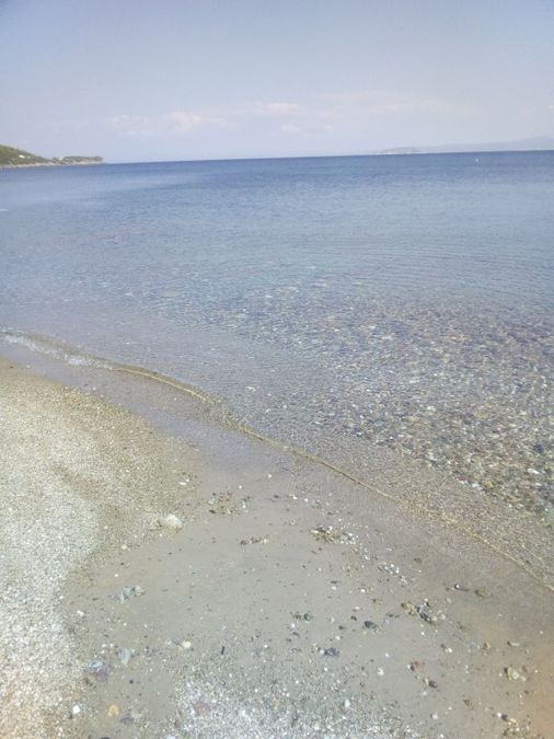 ΧΑΛΚΙΔΙΚΗ ΑΚΤΗ ΣΑΛΟΝΙΚΙΟΥ ΑΓΡΟΤΕΜΑΧΙΟ ΠΑΝΩ ΣΕ ΑΣΦΑΛΤΟ