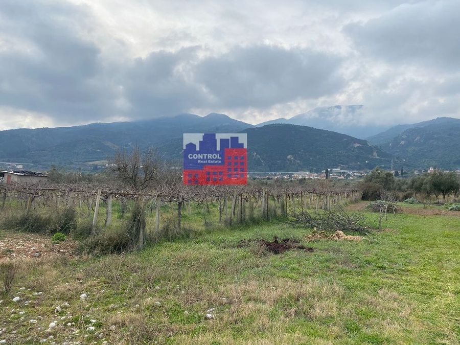 Αγροτεμάχιο προς πώληση Ριζόμυλος (Διακοπτό)