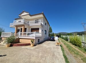 Πώληση, Μονοκατοικία, 362τ.μ. Τρίπολη, Κέντρο | 12648148 | Spitogatos