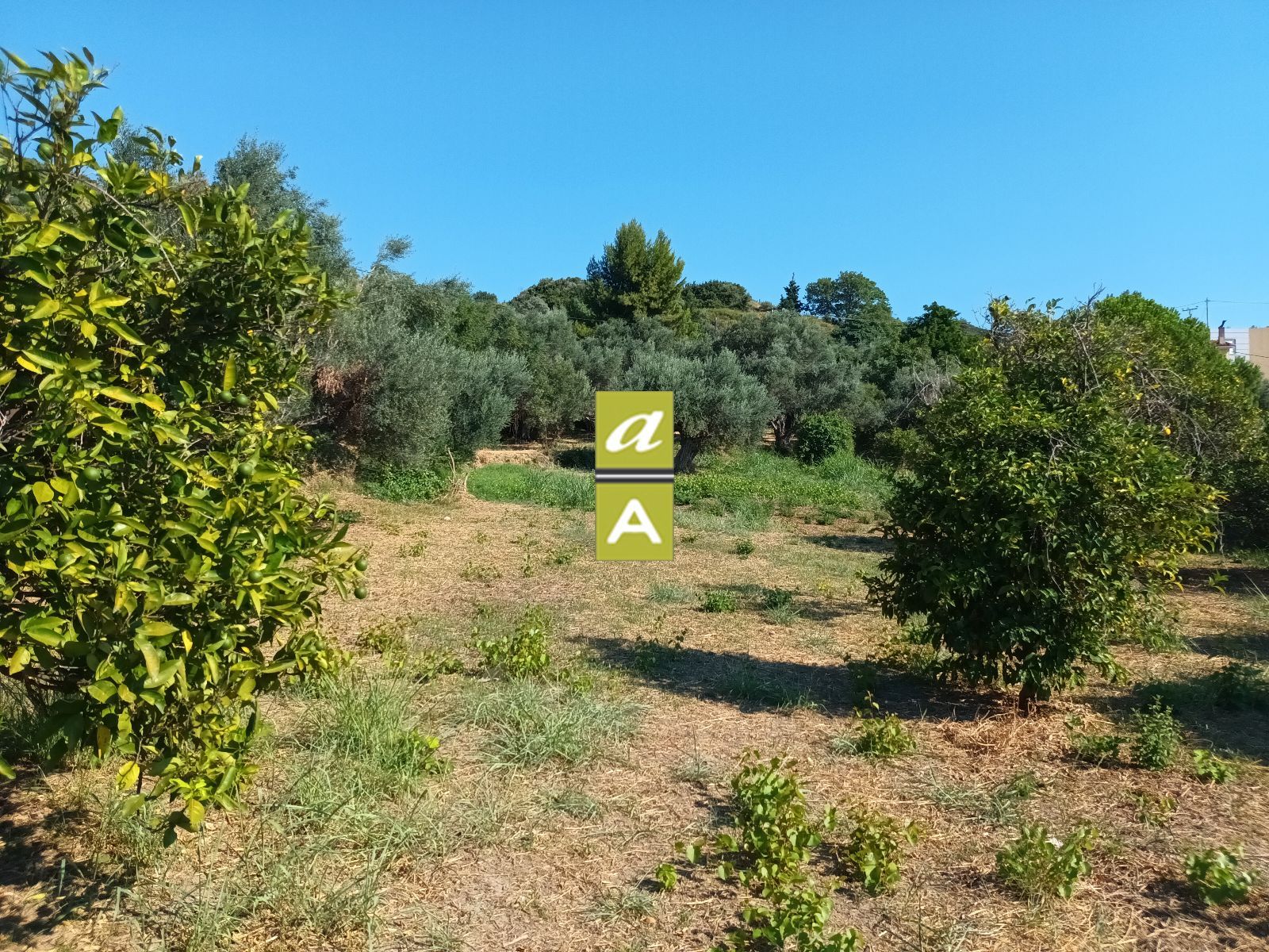 Οικόπεδο προς πώληση Πλατάνι (Ρίο) - ΠΩΛΗΣΗ ΟΙΚΟΠΕΔΟΥ, ΠΛΑΤΑΝΙ