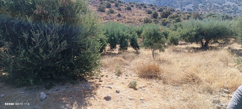 αγροτεμαχιο με καταπληκτικη θεα