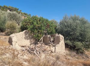 Πώληση, Αγροτεμάχιο, 10000τ.μ. Ευρωστίνη, Δερβένι | 12962860 | Spitogatos