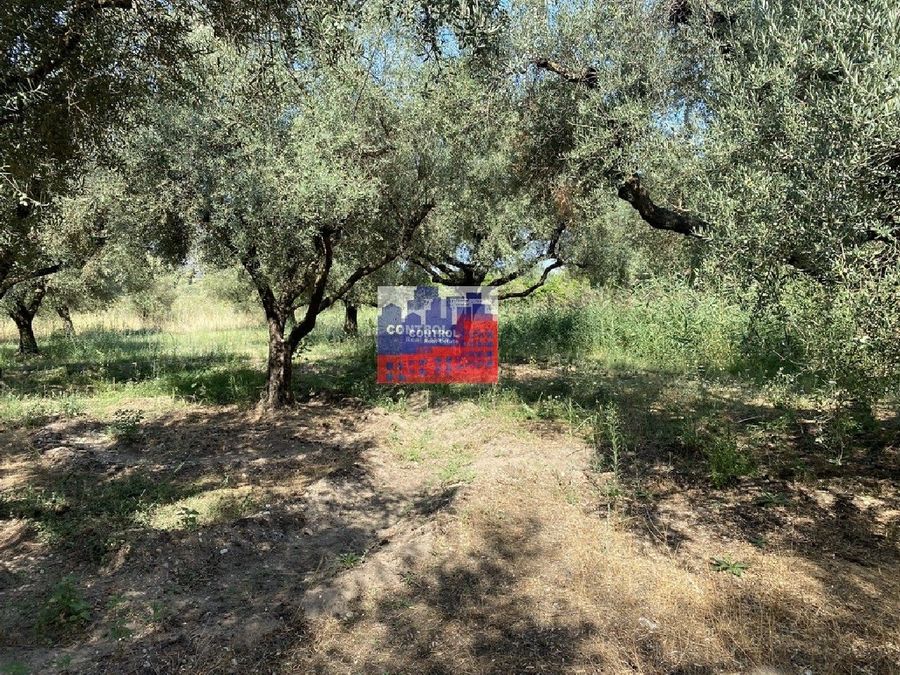 Πώληση, Αγροτεμάχιο, 500τ.μ. Διακοπτό, Ζαχλωρίτικα | 12993523 | Spitogatos