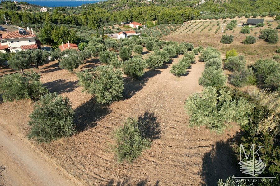 Πώληση, Αγροτεμάχιο, 5750τ.μ. Υπόλοιπο Αττικής, Ωρωπός | 13007322 ...