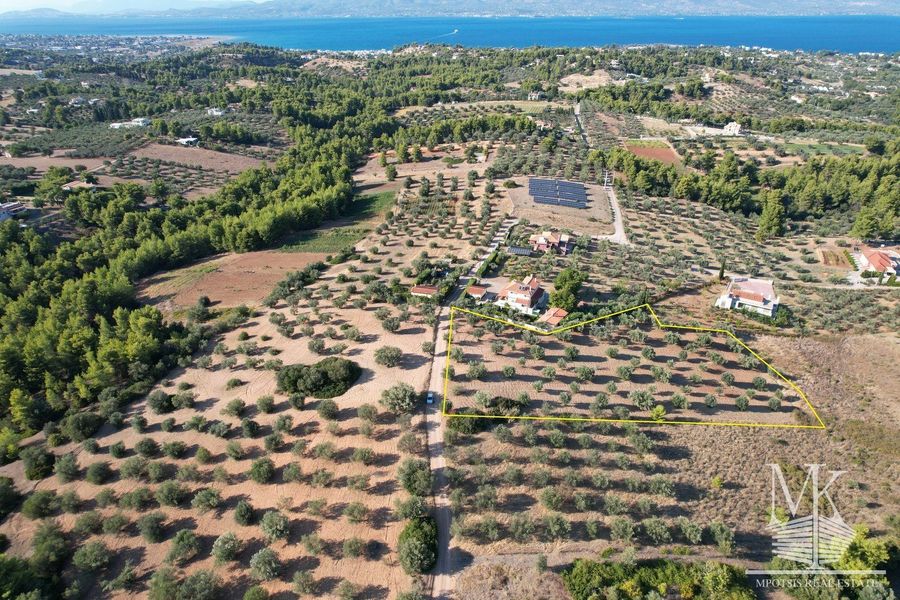 Πώληση, Αγροτεμάχιο, 5750τ.μ. Υπόλοιπο Αττικής, Ωρωπός | 13007322 ...