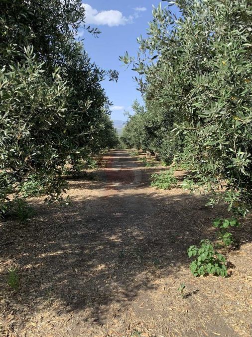 Πώληση, Αγροτεμάχιο, 46000τ.μ. Κροκεές, Πυρί | 13045200 | Spitogatos