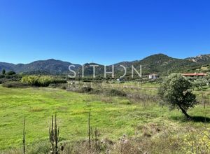 Πώληση, Αγροτεμάχιο, 2020τ.μ. Τορώνη, Συκιά | 13014593 | Spitogatos