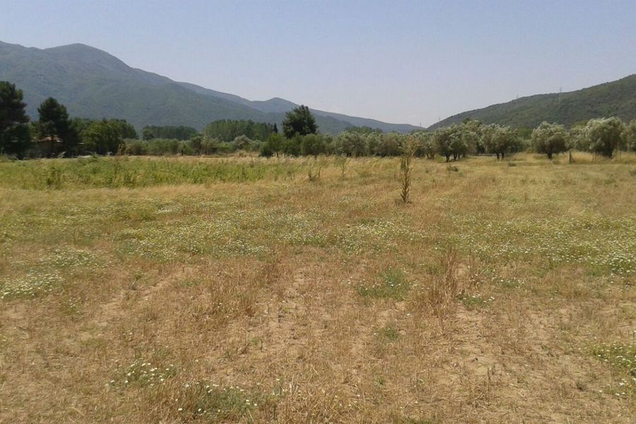 Οικόπεδο προς πώληση Μονοδένδρι (Βραχναίικα) - ΠΩΛΗΣΗ ΟΙΚΟΠΕΔΟΥ 2 ...