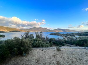 Πώληση, Μονοκατοικία, 203τ.μ. Δύστος, Άγιος Δημήτριος | 13217494 ...