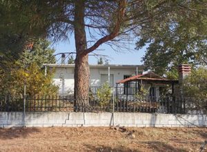 Sale, Plot, 3483m² Topeiro, Exochi | 13246624 | Spitogatos