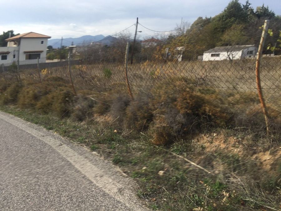 Πώληση, Οικόπεδο, 3010τ.μ. Κ. Καπανδριτίου, Μικροχώρι | 12983599 ...