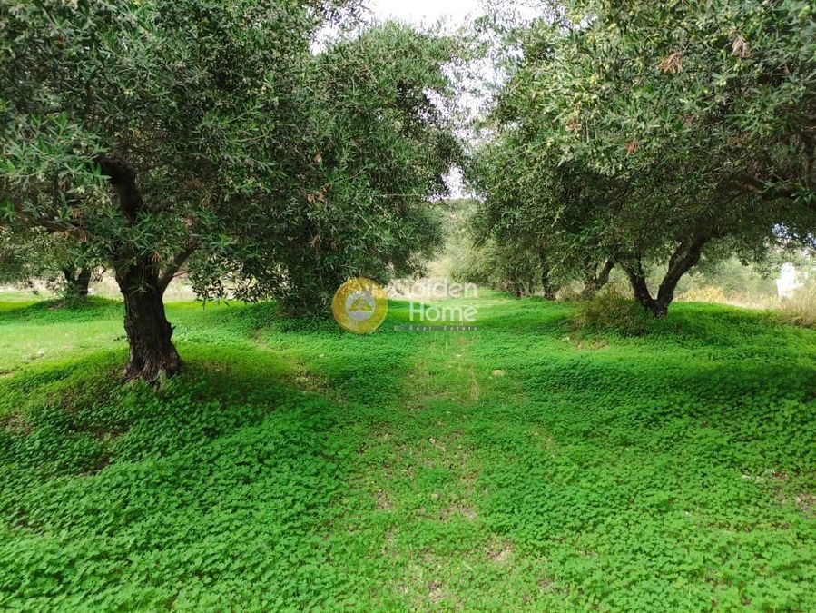Πώληση, Οικόπεδο, 4500τ.μ. Αρχάνες, Κάτω Αρχάνες | 13320893 | Spitogatos