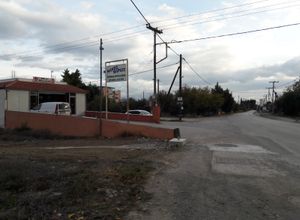 Πώληση, Κατάστημα, 250τ.μ. Σχηματάρι, Πλάκα Δήλεσι | 13325660 | Spitogatos