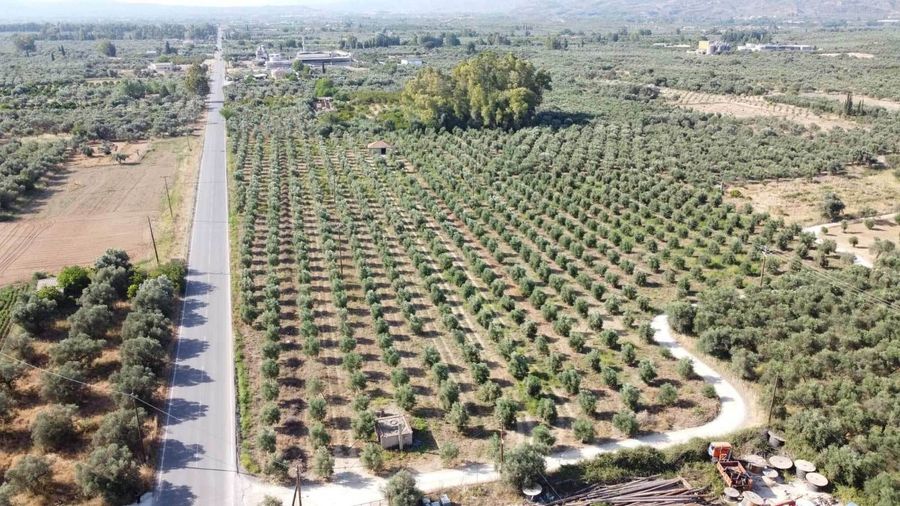 Πώληση, Αγροτεμάχιο, 80000τ.μ. Λακωνία, Φαρίδα | 13413659 | Spitogatos