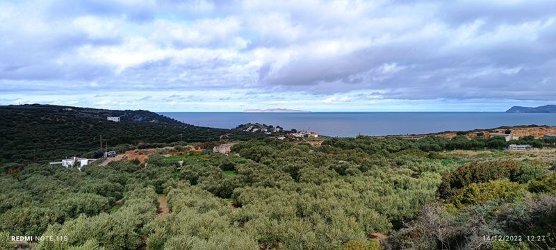 ΑΓΡΟΤΕΜΑΧΙΟ ΜΕ ΜΟΝΟΚΑΤΟΙΚΙΑ ΣΤΗΝ ΣΗΤΕΙΑ ΠΩΛΕΙΤΑΙ