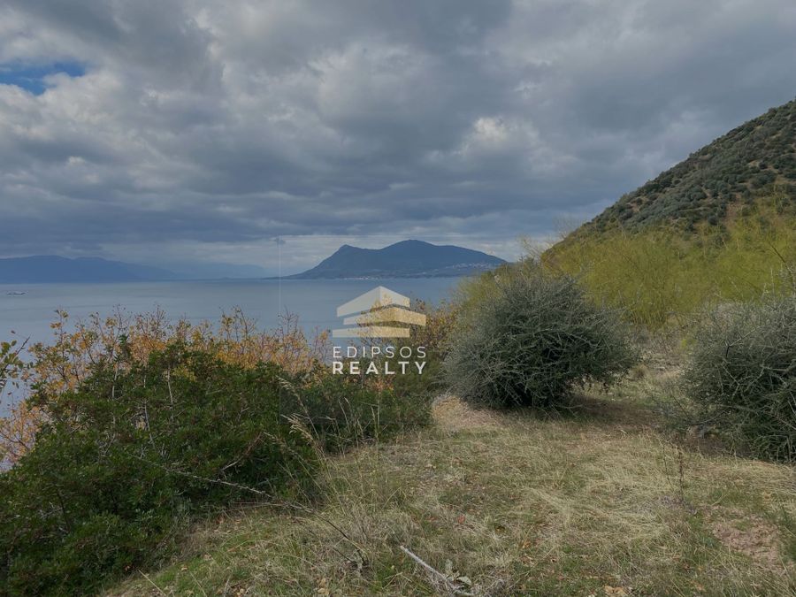Πώληση, Οικόπεδο, 3402τ.μ. Αιδηψός, Λουτρά Αιδηψού | 13438353 | Spitogatos