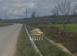 Πώληση, Αγροτεμάχιο, 10005τ.μ. Εύβοια, Ιστιαία | 13444910 | Spitogatos