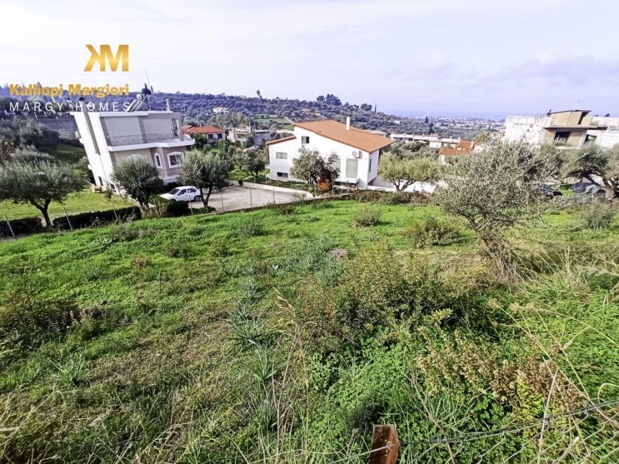 Πώληση, Οικόπεδο, 770τ.μ. Μεσσατίδα, Οβριά | 13565880 | Spitogatos
