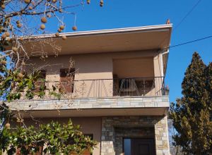 Πώληση, Μονοκατοικία, 225τ.μ. Τρίκαλα, Πύργος | 13590042 | Spitogatos