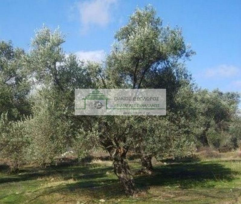 Πώληση, Οικόπεδο, 290τ.μ. Αθήνα - Βόρεια Προάστια, Άνοιξη | 13599481 ...
