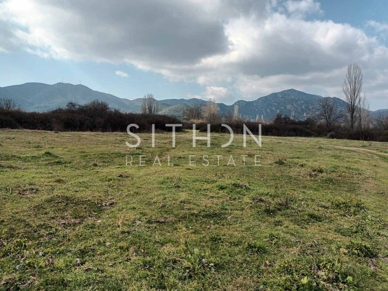 Πώληση, Αγροτεμάχιο, 852τ.μ. Τορώνη, Συκιά | 13469647 | Spitogatos
