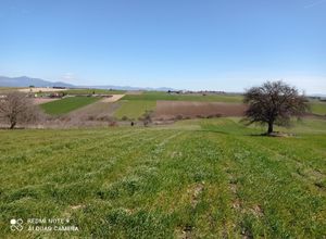Πώληση, Αγροτεμάχιο, 7280τ.μ. Θερμαϊκός, Άνω Περαία | 13690977 | Spitogatos