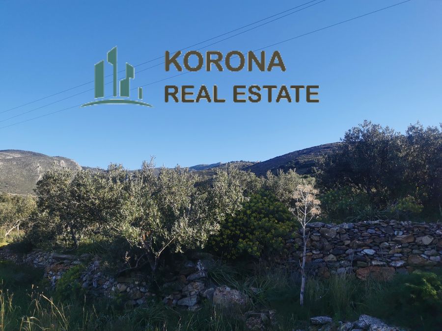 Πώληση, Αγροτεμάχιο, 1250τ.μ. Οίτυλος, Κοίτα | 13841069 | Spitogatos