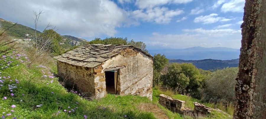 Οικόπεδο με παλαιό πέτρινο.