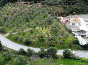 Sale, Plot, 6212m² Pilos, Center | 9761458 | Spitogatos