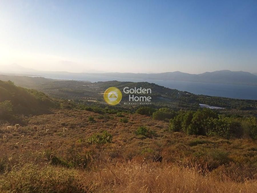Πώληση, Οικόπεδο, 4000τ.μ. Κάλαμος, Πράσινος Λόφος | 13934838 | Spitogatos